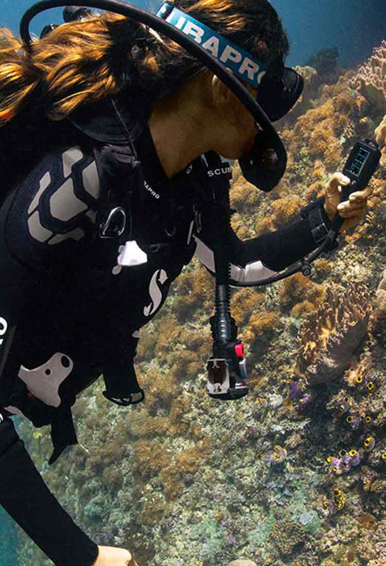 DIXIE DIVERS - NEW DXDIVERS - DIVE GEAR - DIVE CLASSES - DIVE CHARTERS