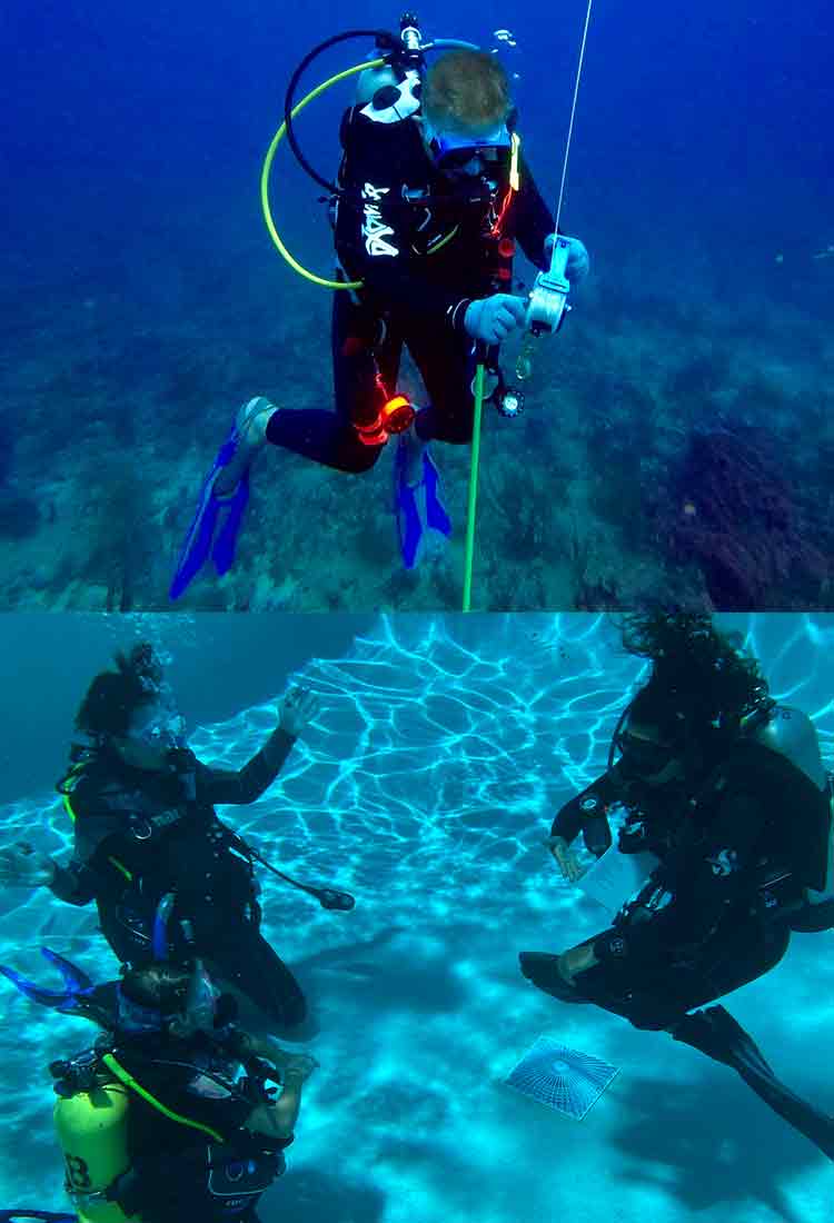 DIXIE DIVERS - NEW DXDIVERS - DIVE GEAR - DIVE CLASSES - DIVE CHARTERS