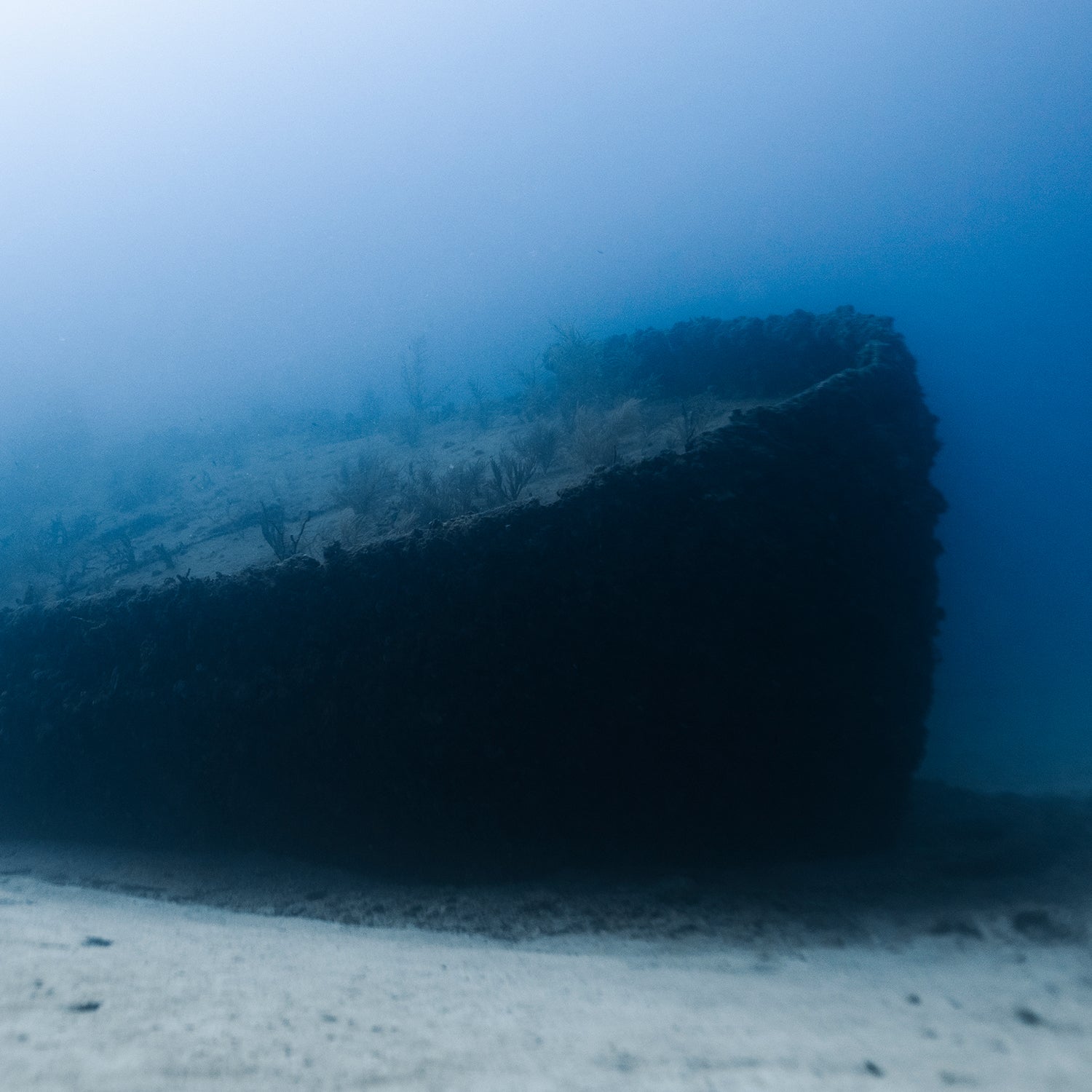 Padi Wreck Diver Specialty Course Near You