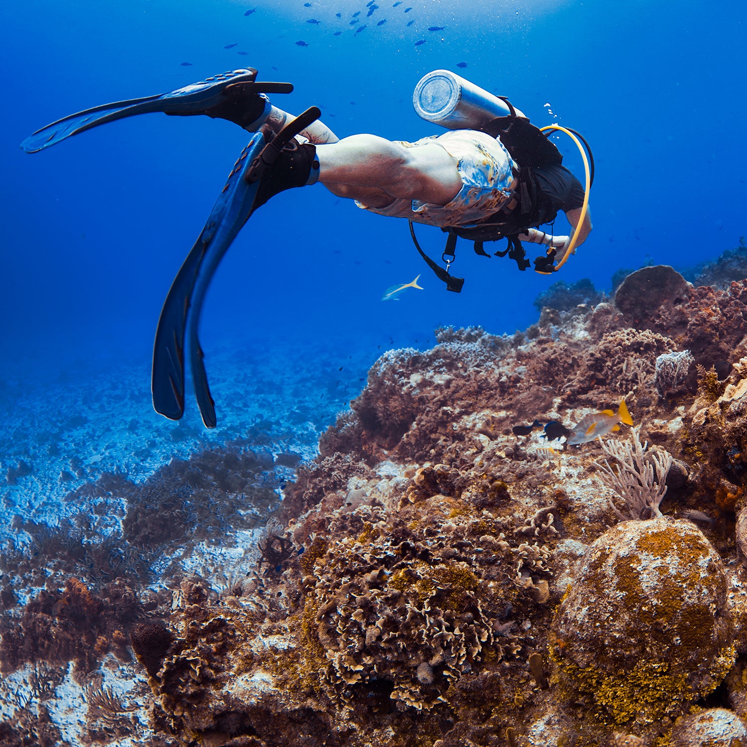 Padi Underwater Navigator Specialty Course